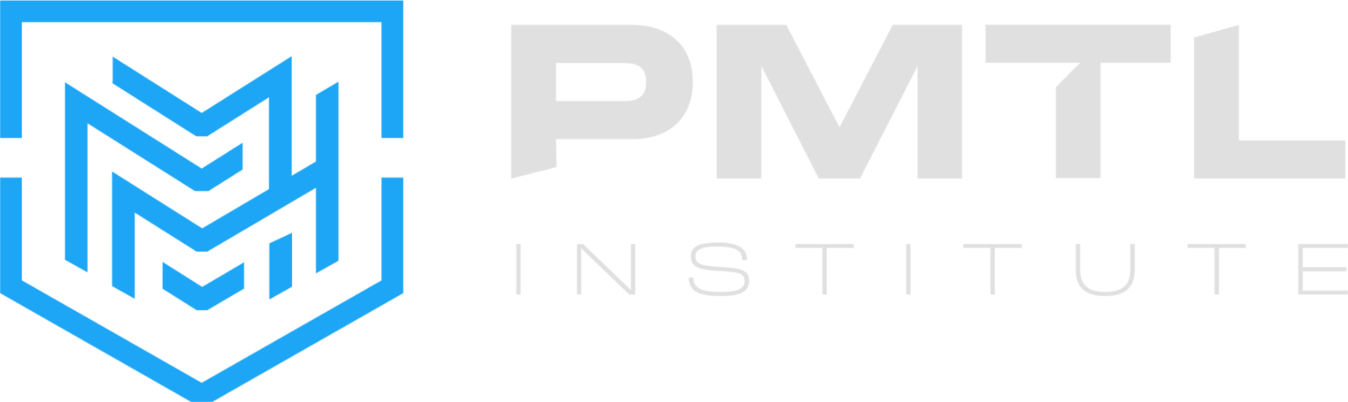 CAITE® - Certified AI Transformational Executive | PMTL Institute